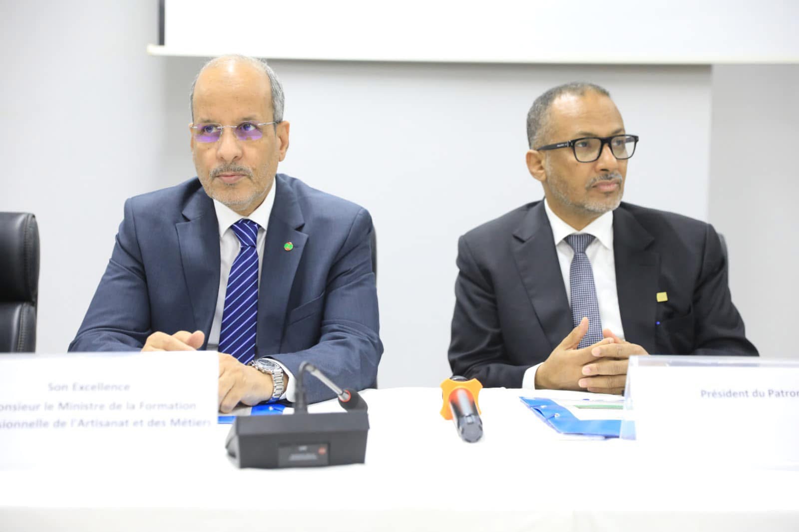 موريتانيا: نواجه تحديات كبيرة في الولوج إلى الخدمات بسبب المهاجرين - مدار